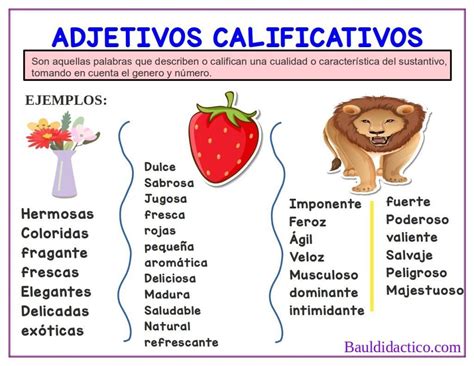 Ejemplos De Adjetivos Calificativos