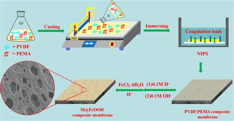 A Comprehensive Description Of The Pvdf β Feooh Membrane Preparation Download Scientific