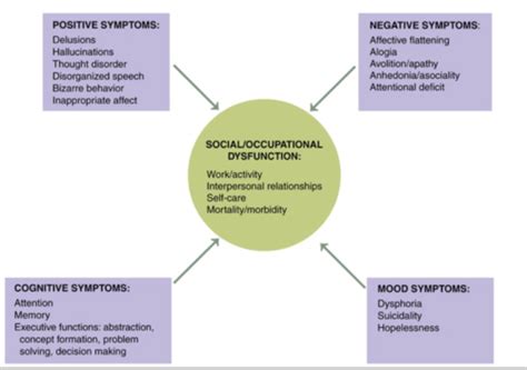 Ip8 Exam 2 Schizophrenia Patho And Drug Action Flashcards Quizlet