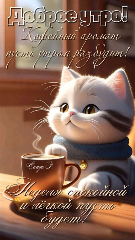 Доброе утро Понедельник Лёгкой недели в 2024 г Доброе утро Котята Счастливые картинки