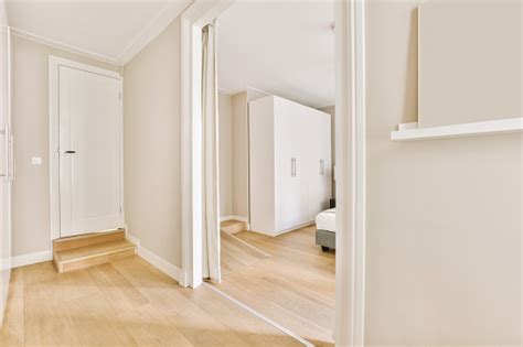 흰색 벽과 쪽모이 세공 바닥이있는 현대적인 아파트의 출입구 0명에 대한 스톡 사진 및 기타 이미지 0명 가정의 방 가축 Istock