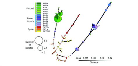 Minimum Spanning Networks Visualize The Genotype Size Nmlgs And The
