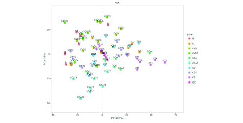 PCA Analysis Scores Plot Of Different Model Groups Download Scientific Diagram