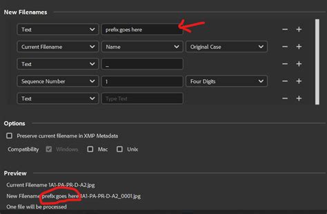 Solved How Do I Batch Rename To Add A Prefix Adobe Product Community 10625724