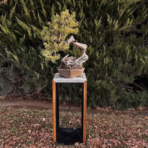 Outdoor Bonsai Stand — Austin Heitzman Furniture