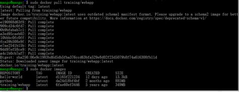 在docker中运行测试webapp 知乎