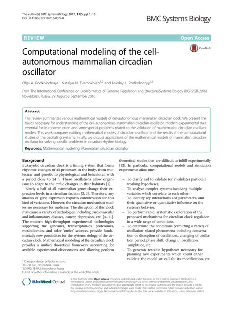 Pdf Computational Modeling Of The Cell Autonomous Mammalian Circadian