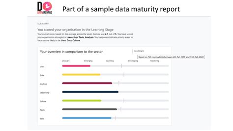 Exciting News About Data Maturity In The Social Sector — Data Orchard