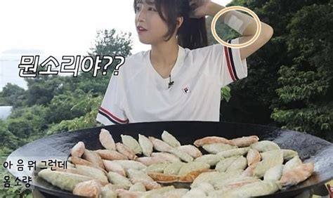 이제보니 멍을 달고 살았던 쯔양…“4년간 매일 맞으며 먹방” 서울신문