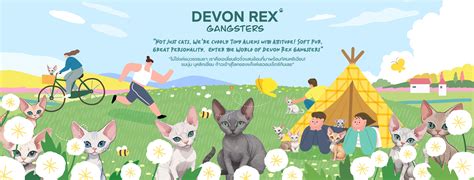 Devon Rex Gangsters