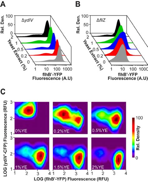 Fliz And Ydiv Are Necessary For Bimodal Gene Expression A And B Download Scientific Diagram