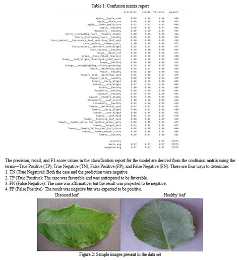 Crop Disease Prediction Using Web Application
