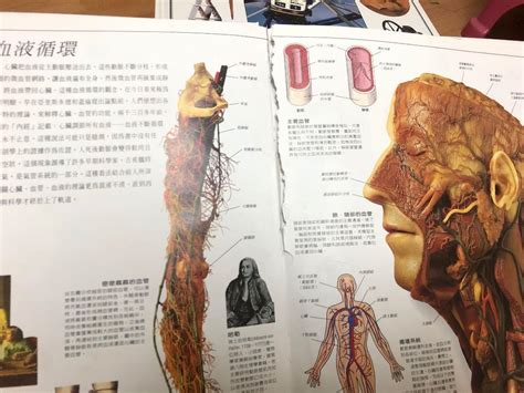 二手共12本套書知識型童書 目擊者叢書 科學博物館 英文漢聲精選出版 兒童圖書 國小圖書 國中 高中 知識書籍 書籍休閒與玩具 書本及