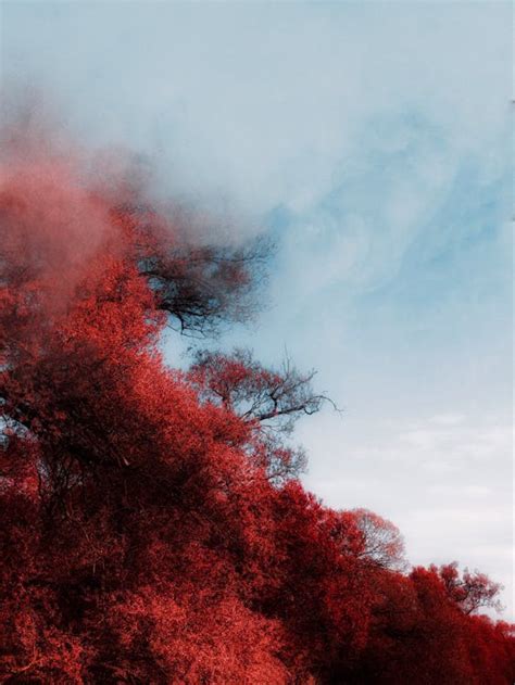 가을 시즌 경치 경치 좋은 자연 경치 좋은 전망 경치가 좋은 계절의 변화 고요한 고요한 광경 고요한 풍경 고요한 환경 고요함 광야 구름 낀 하늘 그림