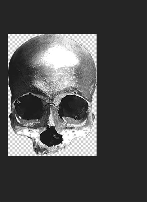 Filter Ink Outlines Leaves All White · Issue 4912 · Photopea