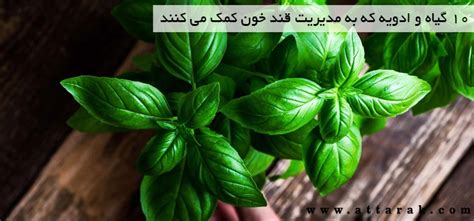 10 گیاه و ادویه برای دیابت و کاهش قند خون عطارک