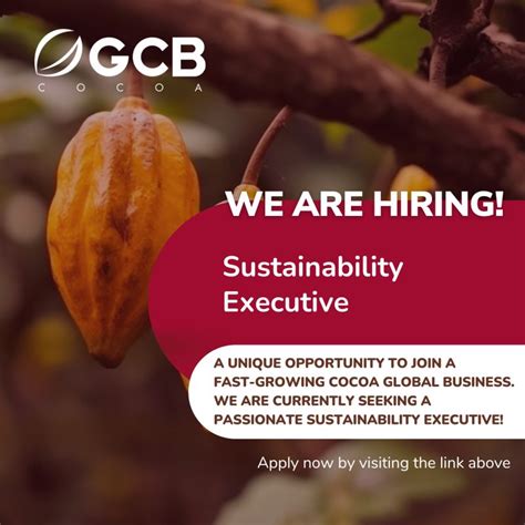 Team Cocoa Sustainability Singaporejobs Malaysiajobs Csrjobs
