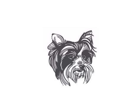 Think Machine Learning With Scikit Learn Python Ppt Free Download