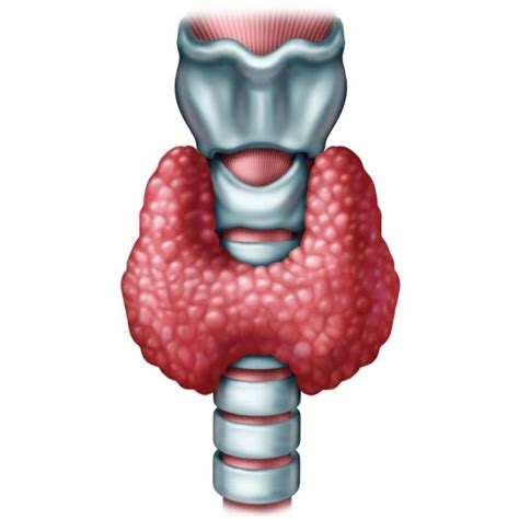 Surgery Has Good Prognosis For Thyroid Cancer But How Can One Avoid Scars