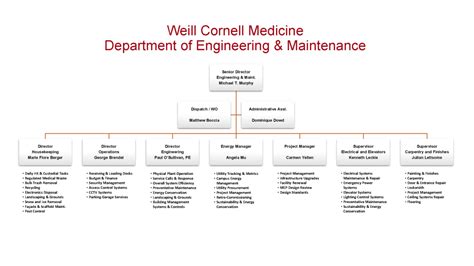 Organization Chart Engineering And Maintenance