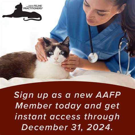 American Association Of Feline Practitioners Aafp On Linkedin