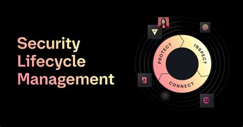 Security Lifecycle Management Security Vulnerability Management