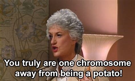 30 Hilariously Brilliant Reaction Memes That People Deserve For Making Dumb Decisions Bored Panda