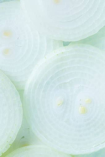 매크로 양파 풀 프레임 양파 배경 질감 다채로운 녹색과 노란색 부추 조각 양파 매크로 얇게 썬 핑크 양파 조각 무늬 매크로 텍스처 음식 배경 0명에 대한 스톡 사진 및 기타