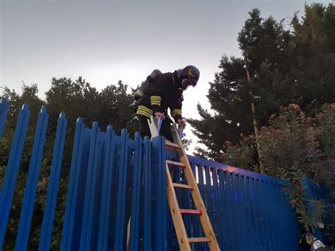 Incendio Asilo Santangelo Nessun Dubbio Sulla Natura Dolosa