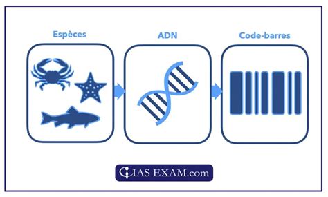 Dna Barcoding Upsc