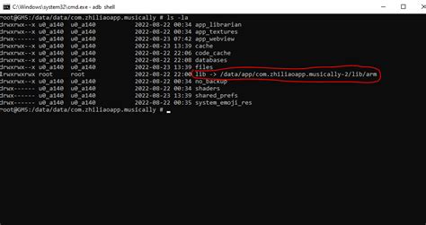Ahmethan Gultekin Native Library Hooking Tiktok Ssl Bypass