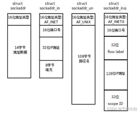 C项目实战 Socket编程c Socket Csdn博客