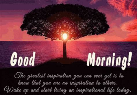 Good Morning Sunrise  Goodmorning Sunrise Discover And Share S