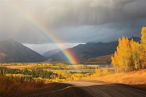 숲 위에 무지개 Photo 아름다운 무지개 무늬가 갑자기 하늘에 나타났다 고화질 사진 사진 무지개 배경 일러스트 및 사진 무료 다운로드 Pngtree