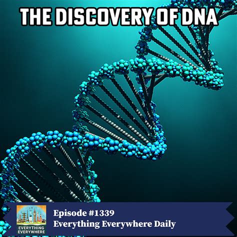 The Discovery Of Dna