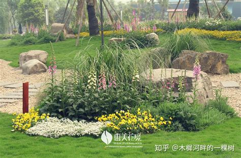 如何完成花境从设计到落地实施 知乎