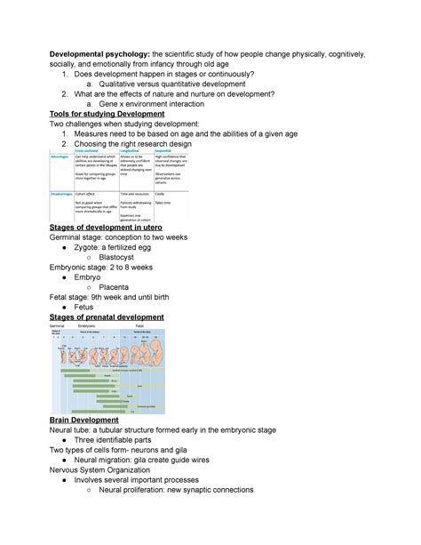 Ch 11 Lecture Notes Developmental Psychology Prof Julie Gross