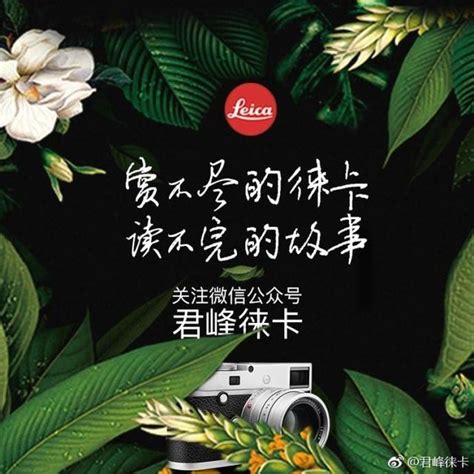 天生優雅，ona歐納相機包選購指南 每日頭條