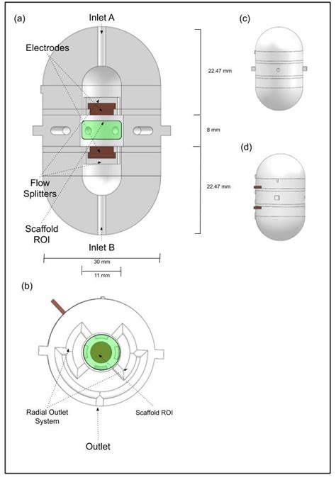 Novel Bioreactor Design A Vertical Cut View Of The Bioreactor Download Scientific Diagram