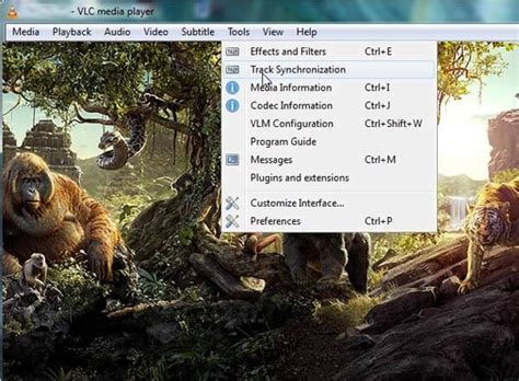 Full Fix VLC Subtitle Delaying How To Fix VLC Subtitle Delay