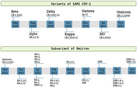 Biologics Free Full Text A Review On The Impact Of The Sars Cov 2 Omicron Subvariant On