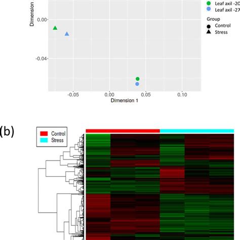 Clustering Analysis Among Samples Using Multidimensional Scaling A