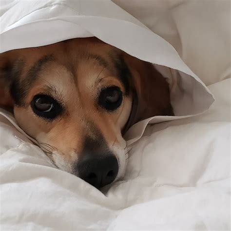 Hunter Bailey Youtube