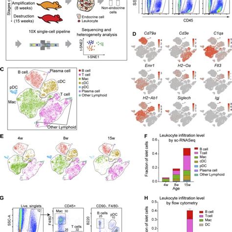 Single Cell Pseudotime Analysis Revealed A Two Step Program Of Download Scientific Diagram
