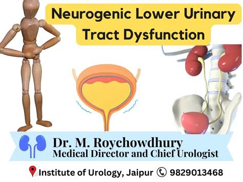 Neurogenic Lower Urinary Tract Dysfunction Comprehensive Overview Diagnosis And Treatment