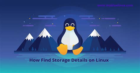 How To Find Out Hard Disk Specs Details On Linux MyBlueLinux Com