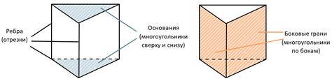 Призмы — что это определение и ответ