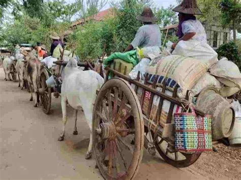 ရေဦးရှိ ကျေးရွာများကို စစ်တပ်က လက်နက်ကြီးဖြင့် ပစ်ခတ်ပြီး စစ်ကြောင်း ထိုးနေသောကြောင့် ကျေးရွာ ၉