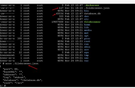 Panic While Parsing Config Unexpected End Of Json Input Issue Filebrowser