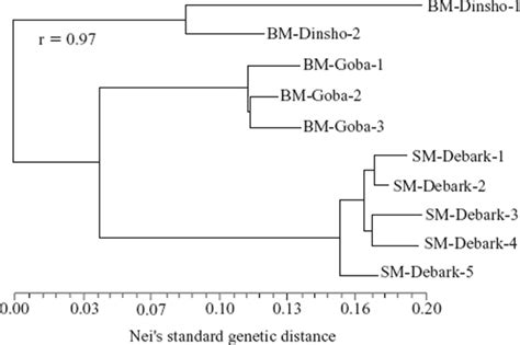 Inter Simple Sequence Repeat Issr Based Analysis Of Genetic Diversity